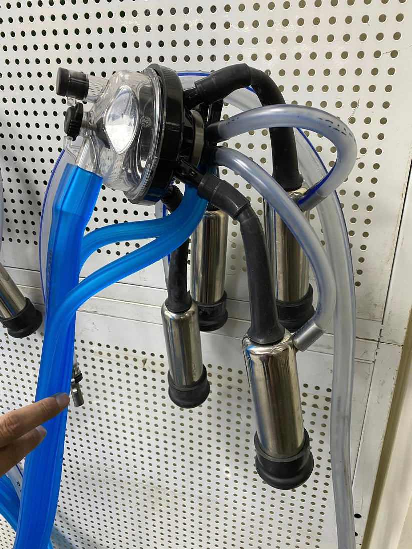 Bucket Milking System BMS-4 – Agro Power